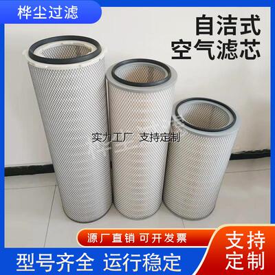 定制自洁式空气滤芯DH321
