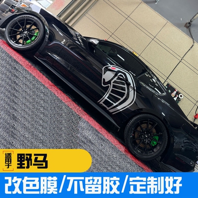 车贴GT350拉花福特眼镜蛇