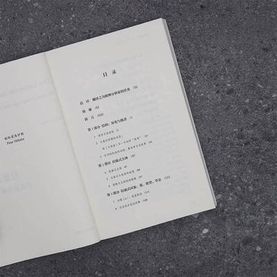 拉康式主体:在语言与享乐之间:between language and jouissance布鲁斯·芬克  书社会科学书籍