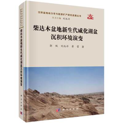 现货速发】柴达木盆地新生代咸化湖盆沉积环境演变 郭佩 刘池洋 黄雷 科学出版社 9787030822390