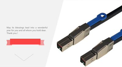 24G IBM SFF-8674 MiniSAS ZHD (4.0) 1.6M 02AT080