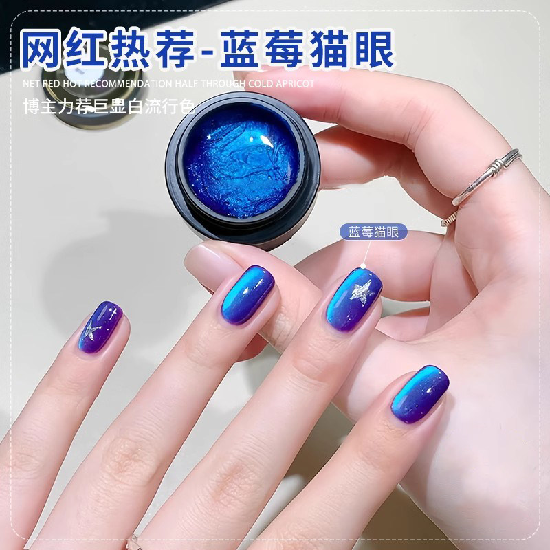 网红款2025新款特调蓝莓蓝光猫眼气质显白指甲油胶气质美甲店专用