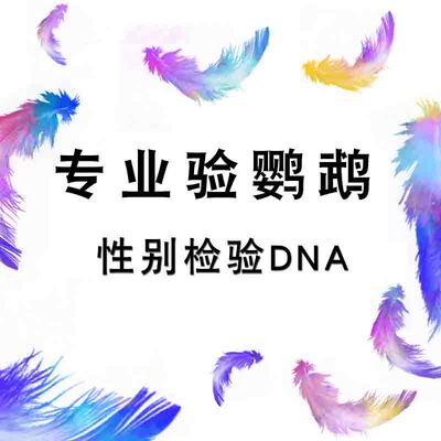 鹦鹉性别验卡小中大型鸟
