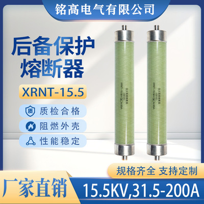 铭高电气油浸式高压限流熔断器