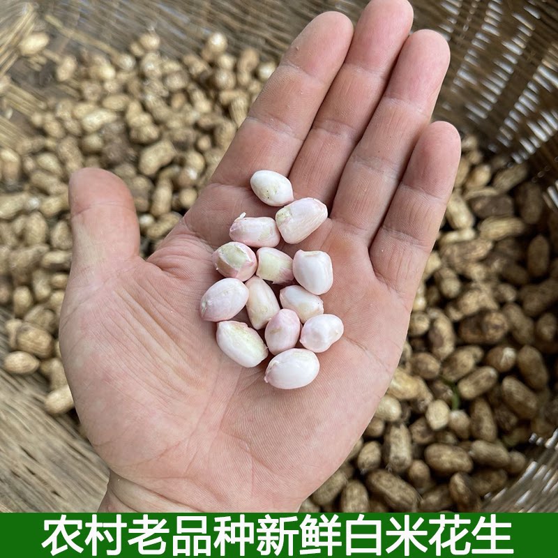 湖北新鲜湿花生现挖带泥鲜花生四粒红带壳小花生米粉皮水煮生花生