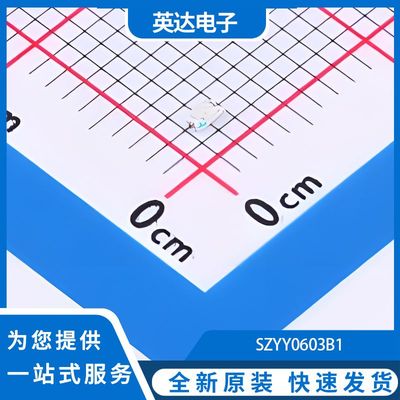 SZYY0603B1 原装正品 4000个/圆盘