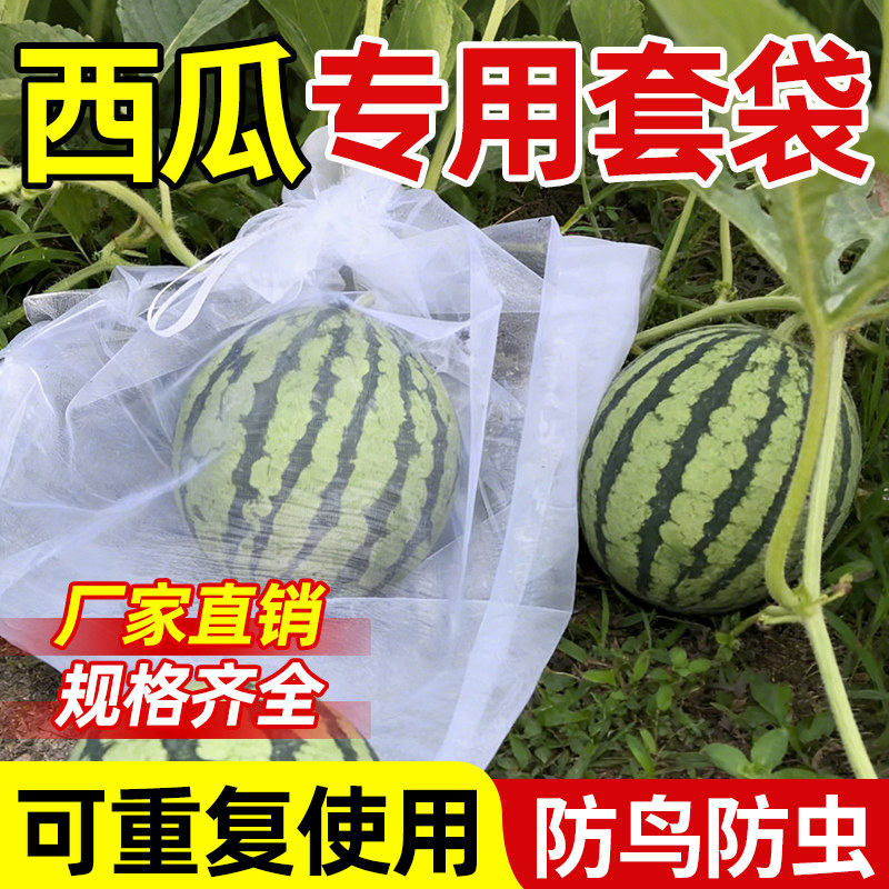 西瓜网兜专用套袋防虫防鸟果袋神器不积水透气透光防果蝇水果套袋