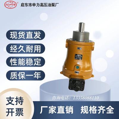 全新10/25/40/63/80/108/160/250YCY14-1B轴包邮