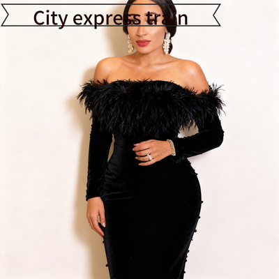 Embroideredsexyslimfitpartylac