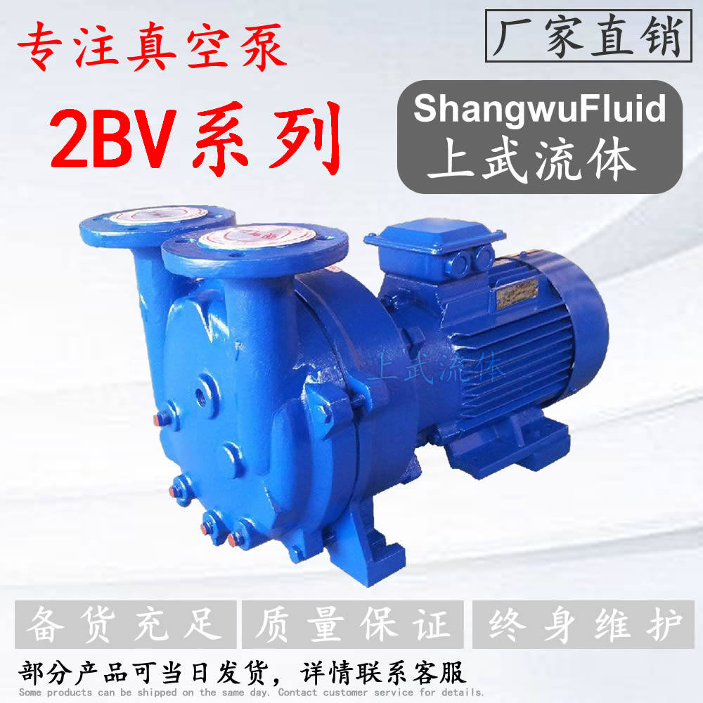 2BV型真空泵 2BV系列水环式真空泵 直联式水环真空泵铸铁普通电机