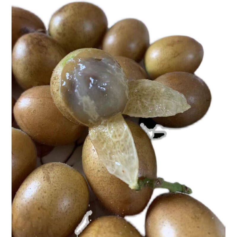 新鲜鸡心黄皮果 黄皮果 黄皮