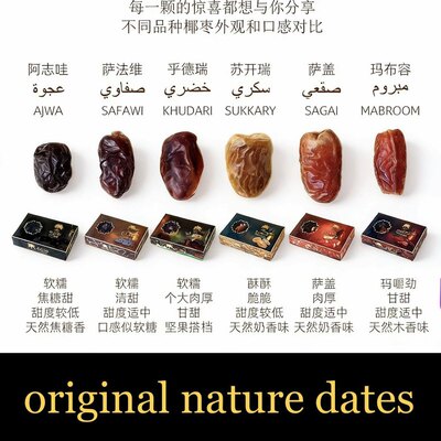 阿拉伯沙特干果进口迪拜椰枣date