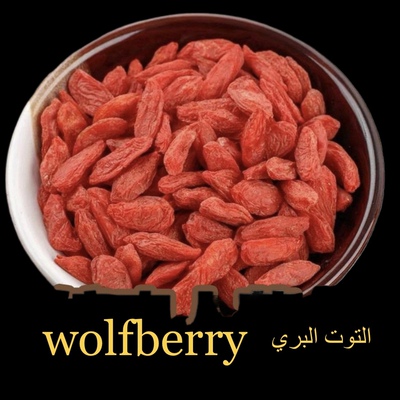 枸杞herbwolfberryChinese