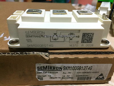 SKM150GB12T4 SKM200GB12T4 SKM300GB12T4/123D SKM100GB12T4G