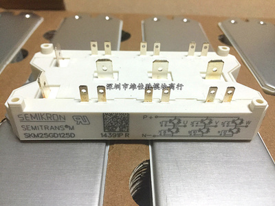 SKM25GD125D SKM40GD123D SKM50GD125D SKM75GD124D SKM75GD125D