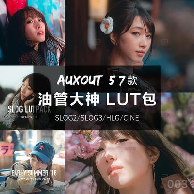油管大神AUXOUT视频调色LUT预设电影感滤镜PP9索尼Slog3/Cine/HLG