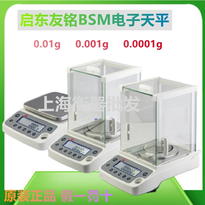 高精度卓精上海BSM电子天平