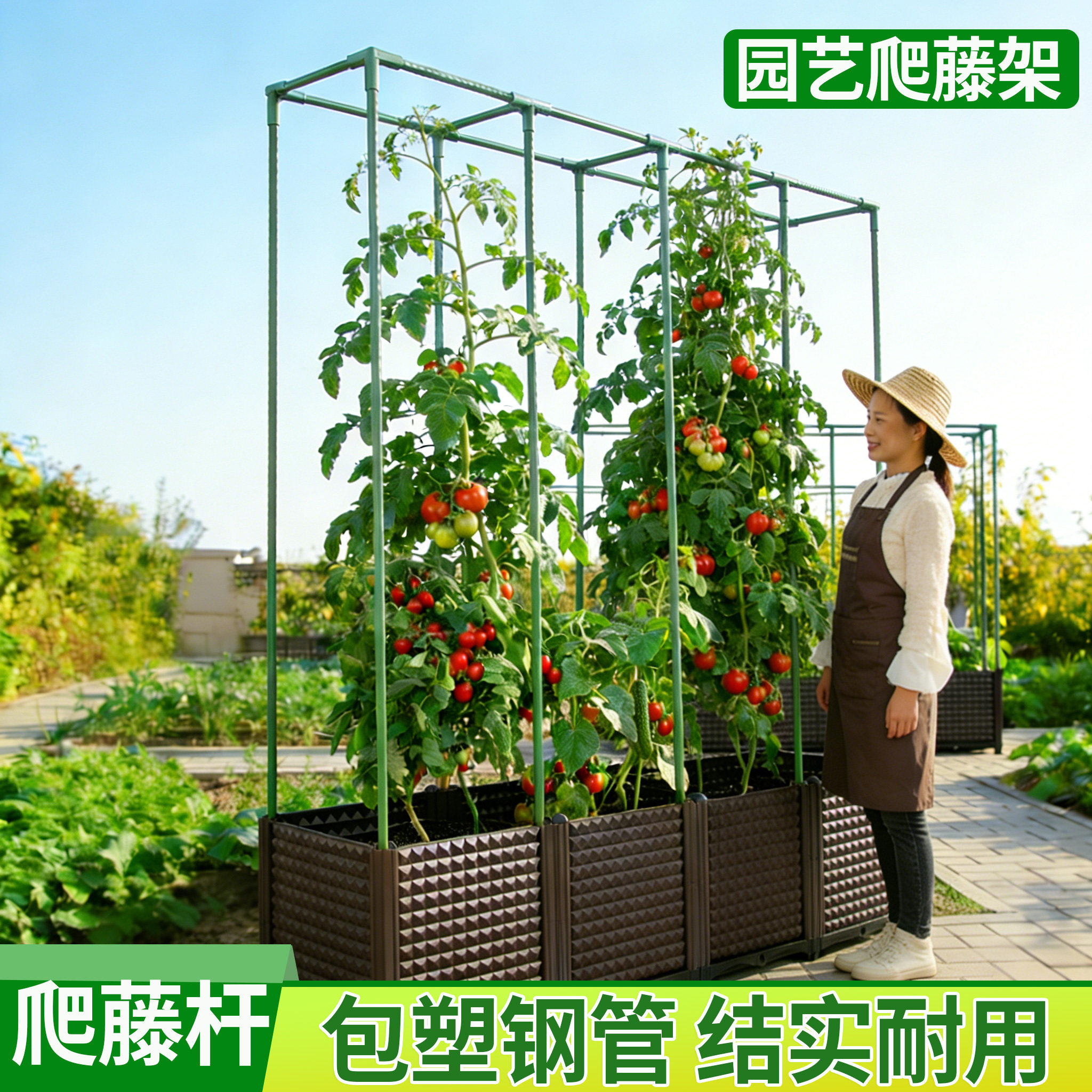 黄瓜爬藤架包塑钢管豆角西红柿丝瓜爬藤支架固定杆葡萄架园艺花架