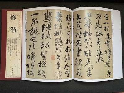 徐渭 历代名家书法经典 繁体旁注 全彩色 应制咏墨咏剑词轴白燕诗轴前赤壁赋女芙馆十咏行书草书毛笔书法临摹练字帖 徐渭书法字帖