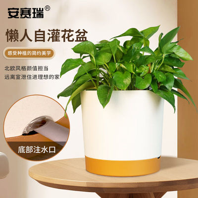 安赛瑞花盆塑料自动吸水懒人花盆圆形一体盆中号麦芯白5J00490