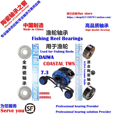 考斯特海蜘蛛TWS200远投陶瓷轴承|DAIWA COASTAL TWS 200 Bearing