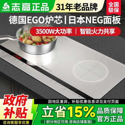 Chigo/志高NL2521家用嵌入式350