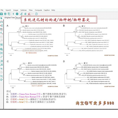 MEGA构建系统发育树鉴定新物种邻接树最大似然树基础树系统进化树