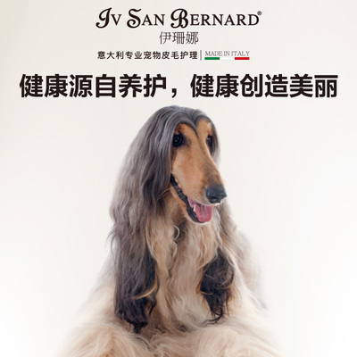 【品牌卡片】品牌卡片链接-勿拍-拍下链接实际发货品牌卡片-3