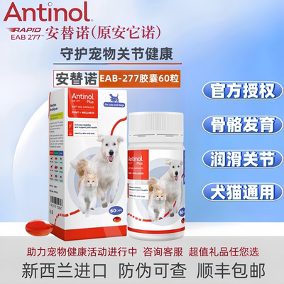 【官方授权】安替诺犬猫关节健康