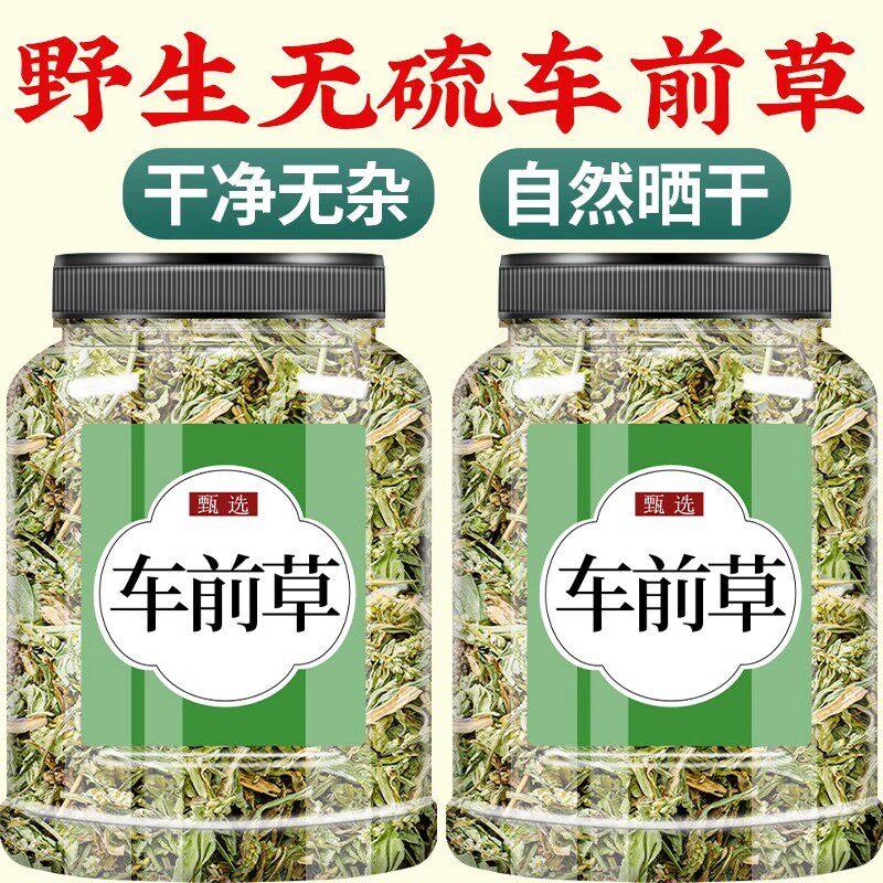 车前草野生干货官方旗舰店中药野生中药材正品泡水喝的功效与作用