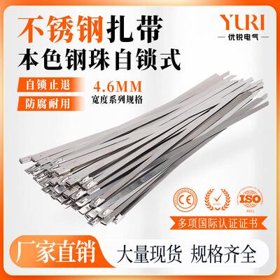 4.6 MM wide 304 stainless steel strapped to a high-temperatu
