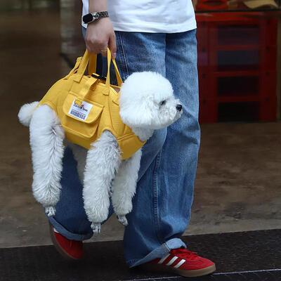 Dogs go out with one shoulder and a cat and a cat and a litt
