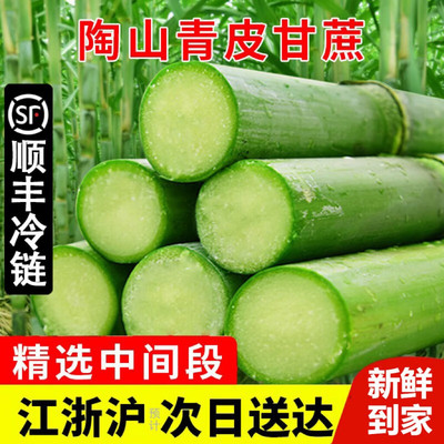 陶山甘蔗青皮绿皮甘蔗现砍现发孕妇新鲜水果应季整箱5斤果蔗顺丰