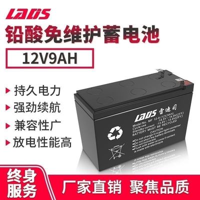 雷迪司UPS专用蓄电池12V9AH用