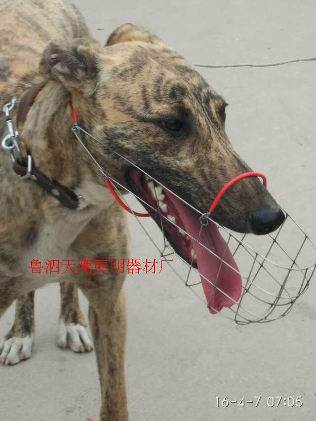包邮格力犬钢丝口笼惠比特口笼尼龙口罩嘴套防乱咬罩狗口笼口罩