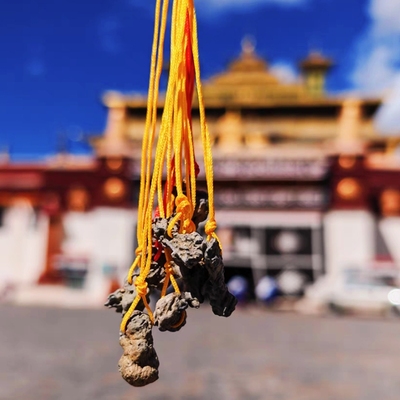 西藏莲花生大师天降金刚火雨石  天然石头打孔穿绳吊坠
