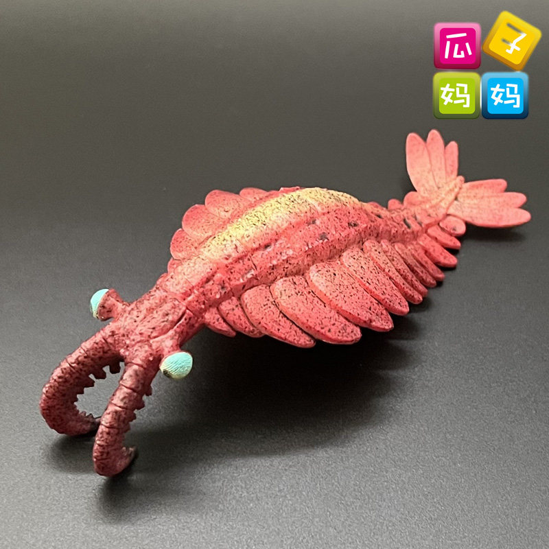 collecta我你他2023奇虾仿真远古海洋恐龙动物模型儿童玩具88977_虎窝淘