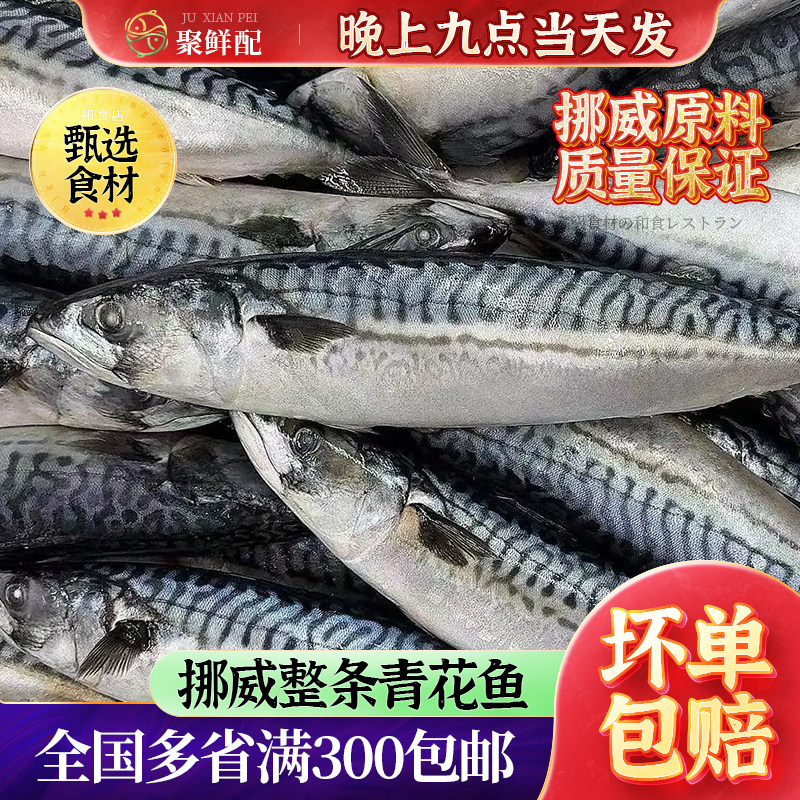 挪威进口青花鱼冷冻海鲜水产青占鱼鲜活新鲜海鱼青鱼秋刀鱼日料