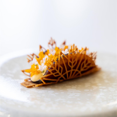 法餐硅胶分子料理镂空蕾丝模具