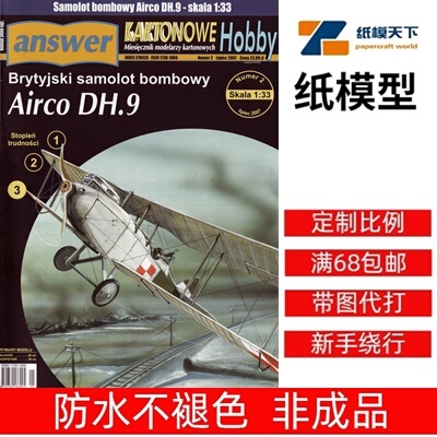 Answer KH 2007-02 - Airco DH.9