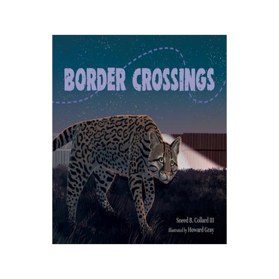 边境口岸BorderCrossings