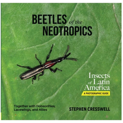 预订 Beetles of the Neotropics: Together with Dobsonflies, Lacewings, and Allies (Insects of Latin America, A Photograph