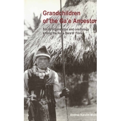预订 Grandchildren of the Ga’e Ancestors: Social Organization and Cosmology 祖先的孙子：社会组织和宇宙学: 9789067181471