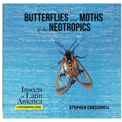预订 Butterflies and Moths of the Neotropics (Insects of Latin America, A Photographic Guide): 9798987399224