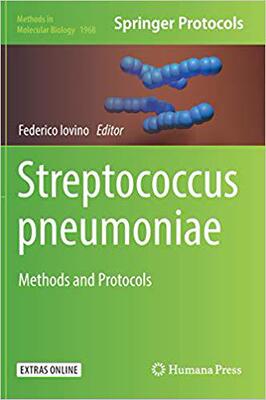 【预售】Streptococcus pneumoniae