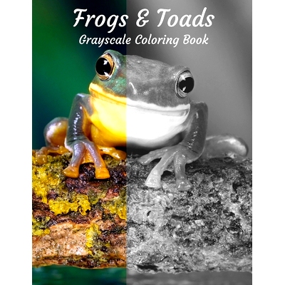 预订 Frogs & Toads Grayscale Coloring Book: 9798541948875