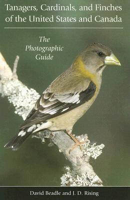 【预订】Tanagers, Cardinals, and Finches of the United States and Canada