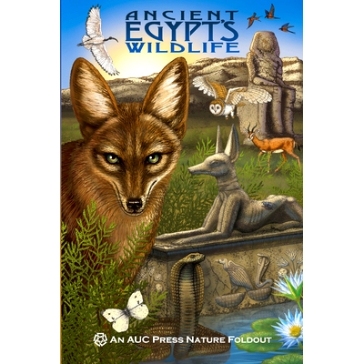 预订 Ancient Egypts Wildlife: An Auc Press Nature Foldout 古埃及的野生动物: 9789774165955
