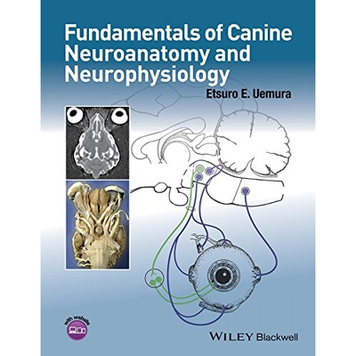预订 Fundamentals Of Canine Neuroanatomy And Neurophysiology 犬神经解剖学与神经生理学基础 9781119487654