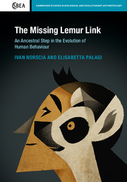【预订】The Missing Lemur Link